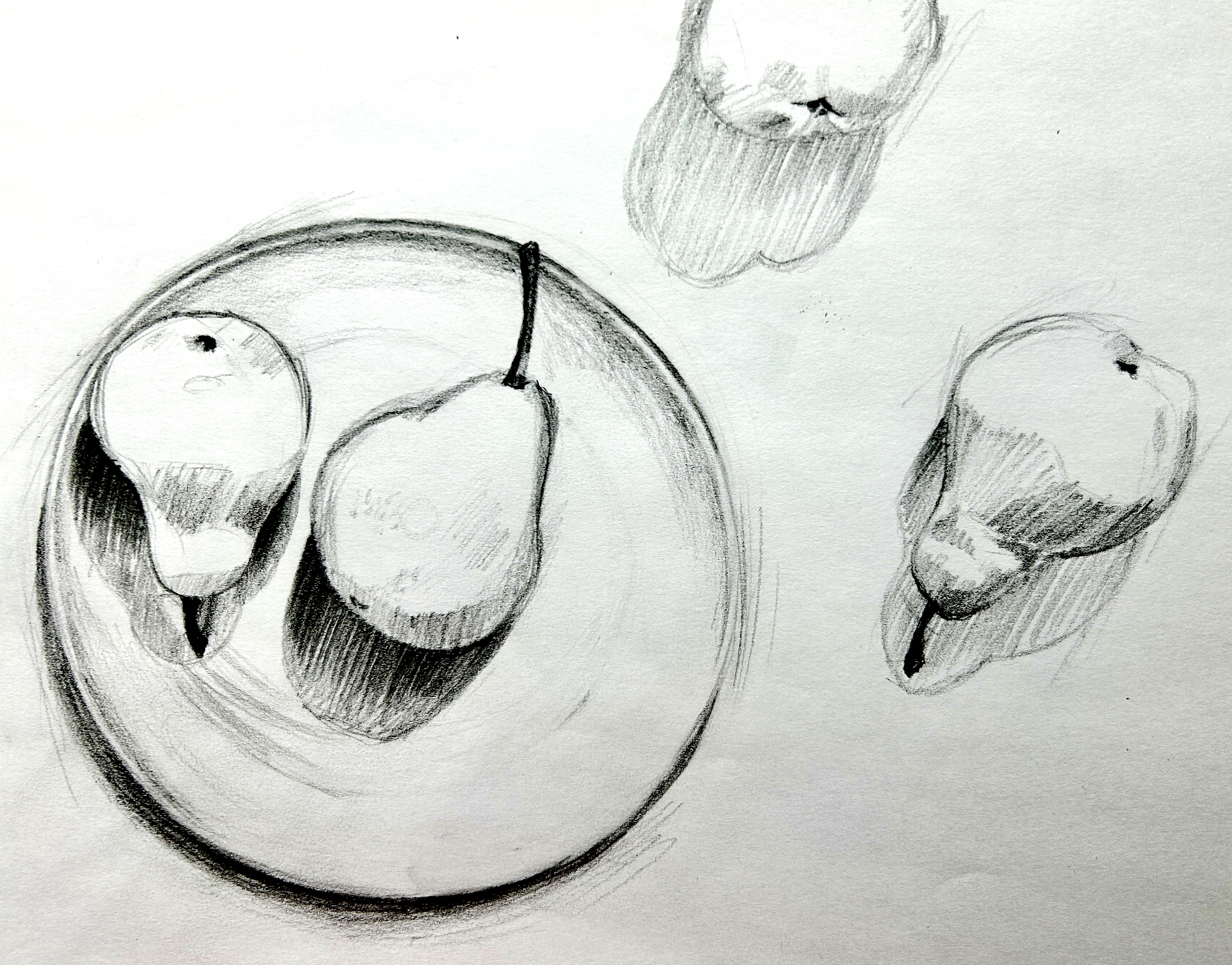 Still Life Drawing Class for Adults - Bigfork Art & Cultural Center